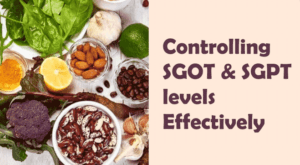 How to Control SGPT and SGOT Levels? – HealthcareOnTime