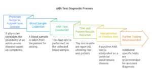 Blood Tests for Autoimmune Disease Detection – HealthcareOnTime