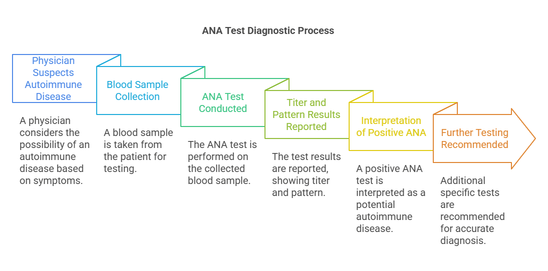 Blood Tests for Autoimmune Disease Detection – HealthcareOnTime