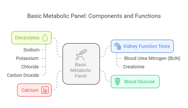 Basic Metabolic Panel vs Comprehensive Metabolic Panel: Which Blood ...