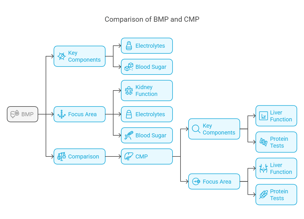Basic Metabolic Panel vs Comprehensive Metabolic Panel: Which Blood ...
