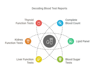 The Complete List of Blood Tests in a Routine Physical Exam ...