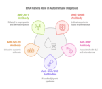 Blood Tests for Autoimmune Disease Detection – HealthcareOnTime