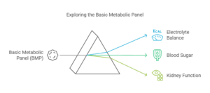 Basic Metabolic Panel vs Comprehensive Metabolic Panel: Which Blood ...