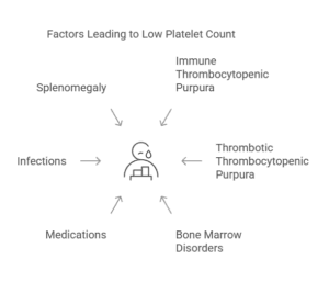 How to interpret CBC blood test results and what it checks for ...