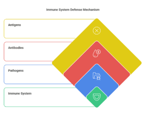 Blood Tests for Autoimmune Disease Detection – HealthcareOnTime