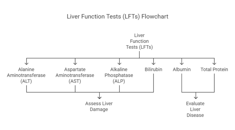 The Complete List of Blood Tests in a Routine Physical Exam ...