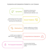 Basic Metabolic Panel vs Comprehensive Metabolic Panel: Which Blood ...