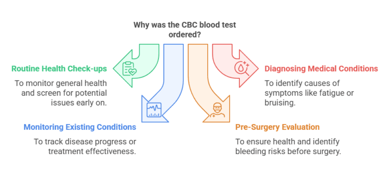 How to interpret CBC blood test results and what it checks for ...