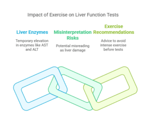 Should you avoid exercise before a blood test? - HealthcareOnTime