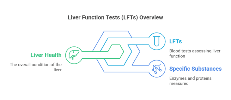 Understanding Liver Function Tests (LFTs) and Abnormal Results ...