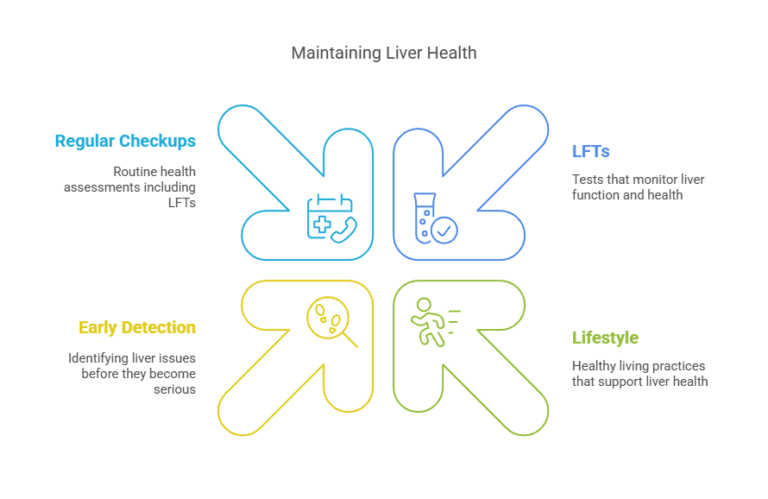 Understanding Liver Function Tests (LFTs) and Abnormal Results ...