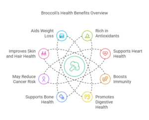 Broccoli Benefits and Side Effects – HealthcareOnTime