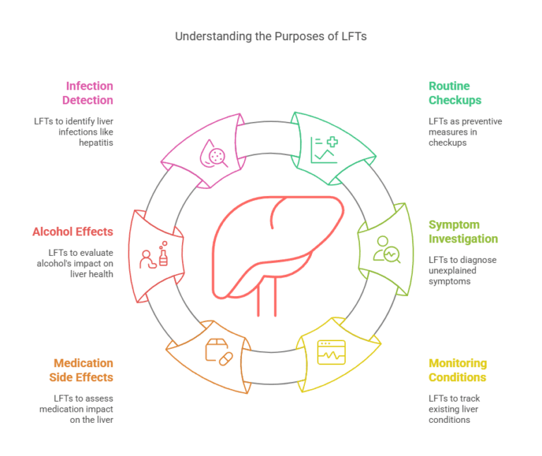 Understanding Liver Function Tests (LFTs) and Abnormal Results ...