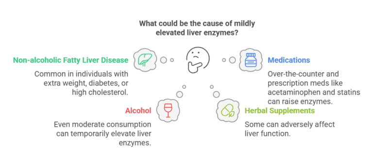 Understanding Liver Function Tests (LFTs) and Abnormal Results ...