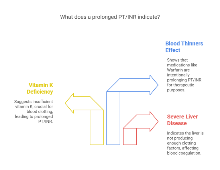 Understanding Liver Function Tests (LFTs) and Abnormal Results ...