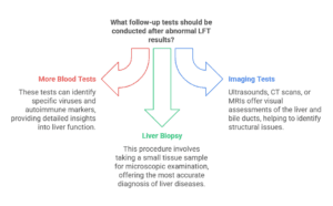 Understanding Liver Function Tests (LFTs) and Abnormal Results ...