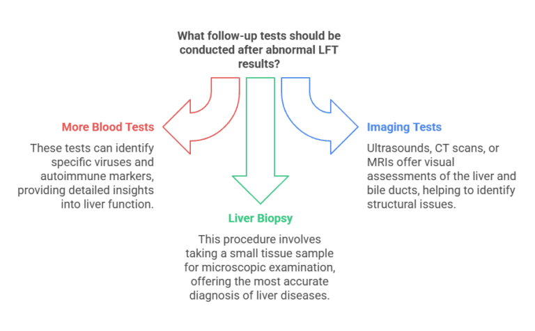 Understanding Liver Function Tests (LFTs) and Abnormal Results ...