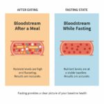 Which Blood Tests Require Fasting — And For How Long? - HealthcareOnTime