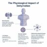5 Key Blood Test Markers That Reveal Dehydration - HealthcareOnTime