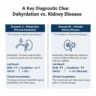 5 Key Blood Test Markers That Reveal Dehydration - HealthcareOnTime