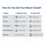 Which Blood Tests Require Fasting — And For How Long? - HealthcareOnTime