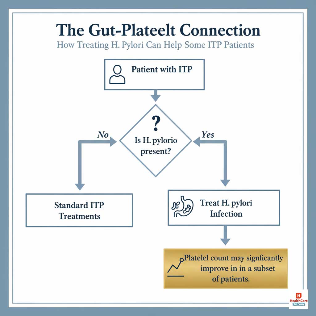 How to Increase Platelet Count and What Foods to Avoid When Platelets ...