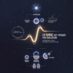 LH Surge and Ovulation: Are Your Hormone Levels in the Normal Range ...