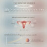 What Cramping After Ovulation Reveals About Early Pregnancy Signs ...