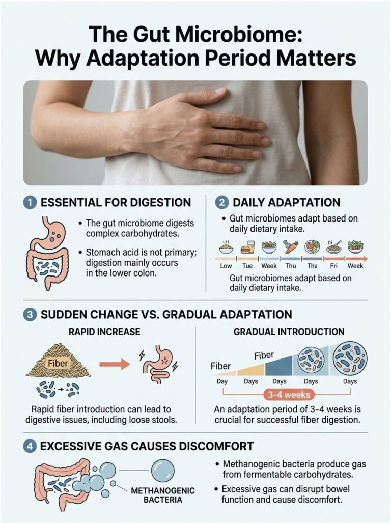 Can Too Much Fiber Cause Diarrhea? Causes, Symptoms, and How to Fix It ...