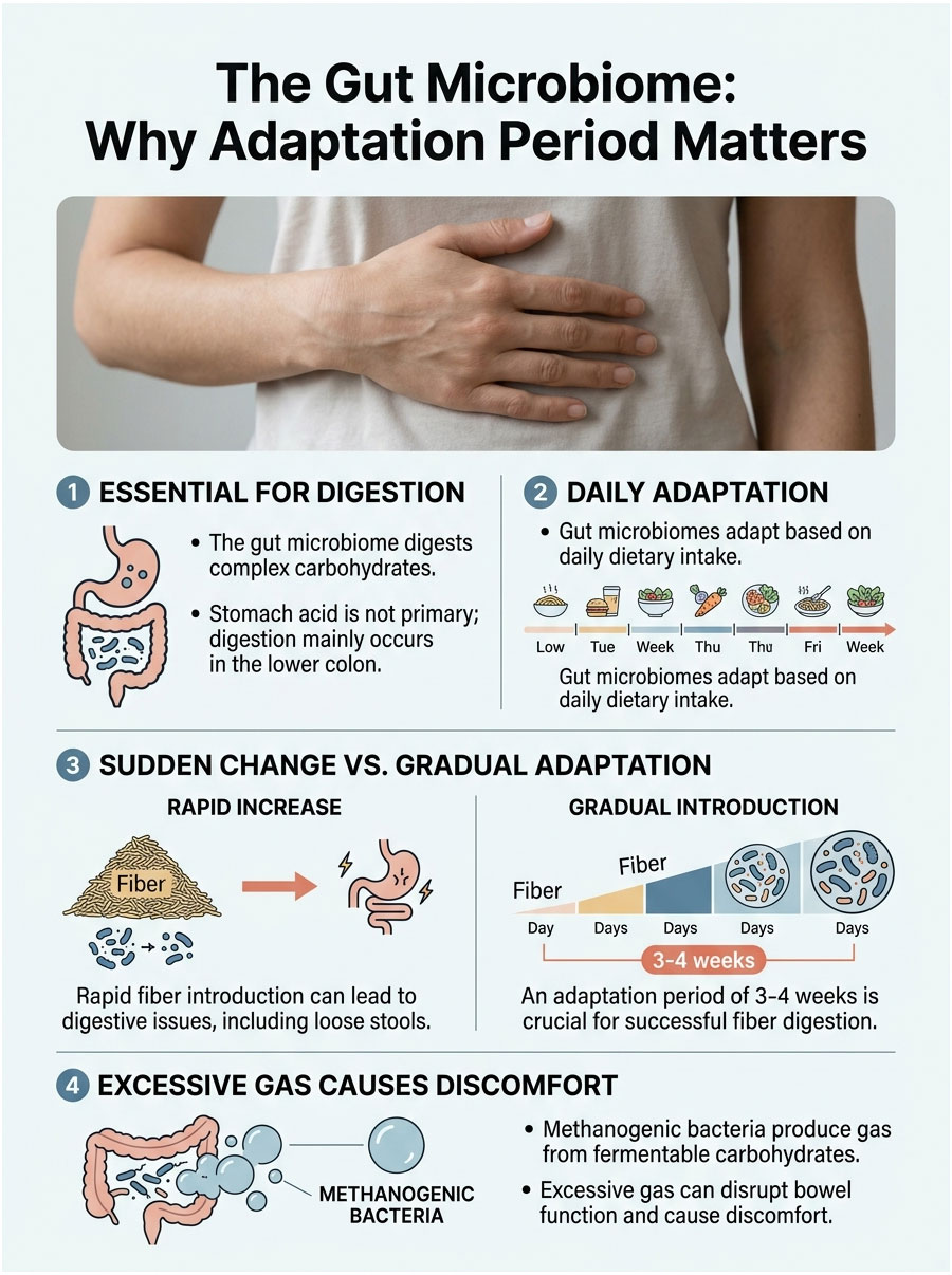 Can Too Much Fiber Cause Diarrhea? Causes, Symptoms, and How to Fix It ...